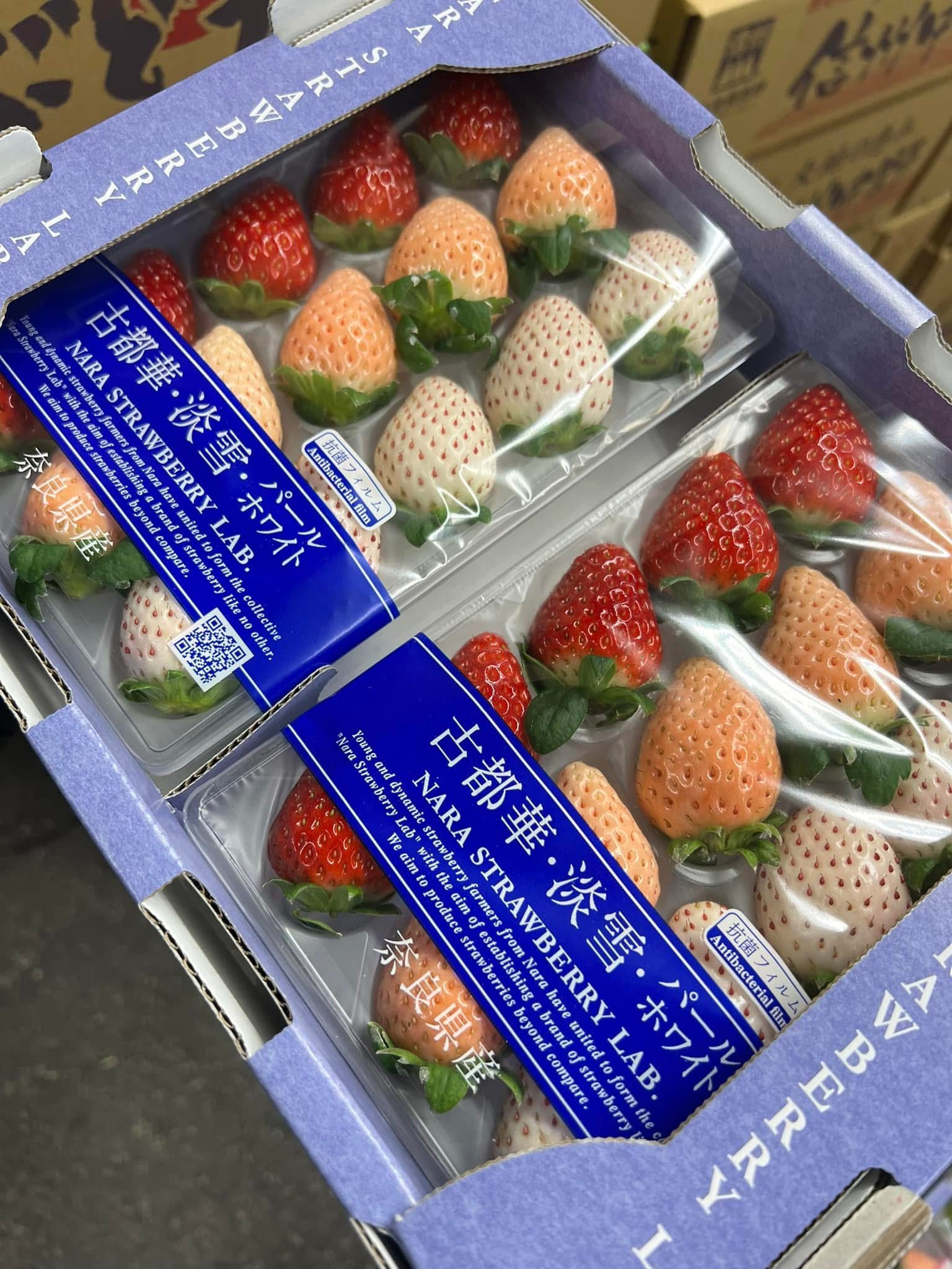奈良県 NARA STRAWBERRY LAB. 〜三色いちご～ | くだものだより